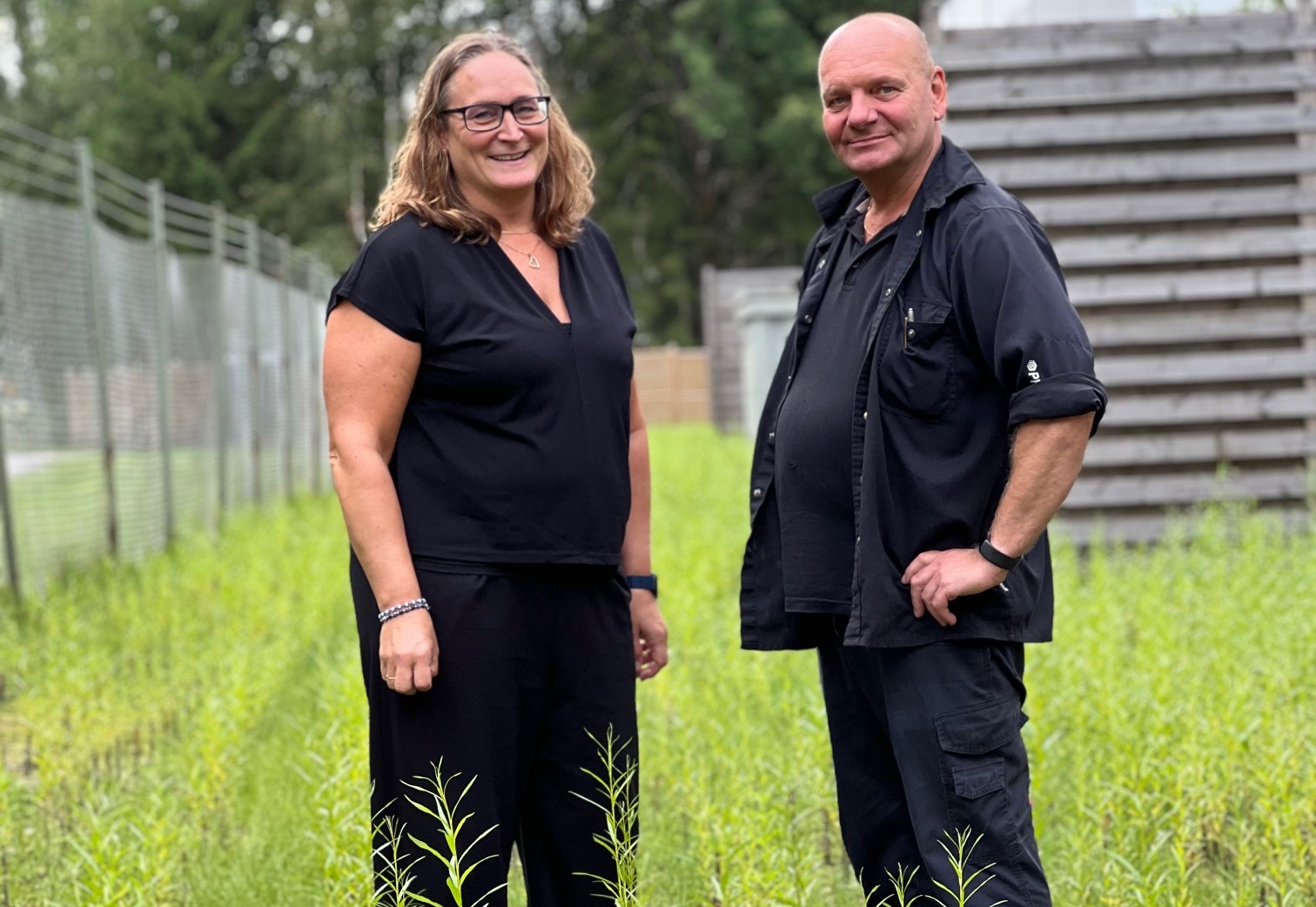 Plants help Proton to clean the soil - Proton Finishing